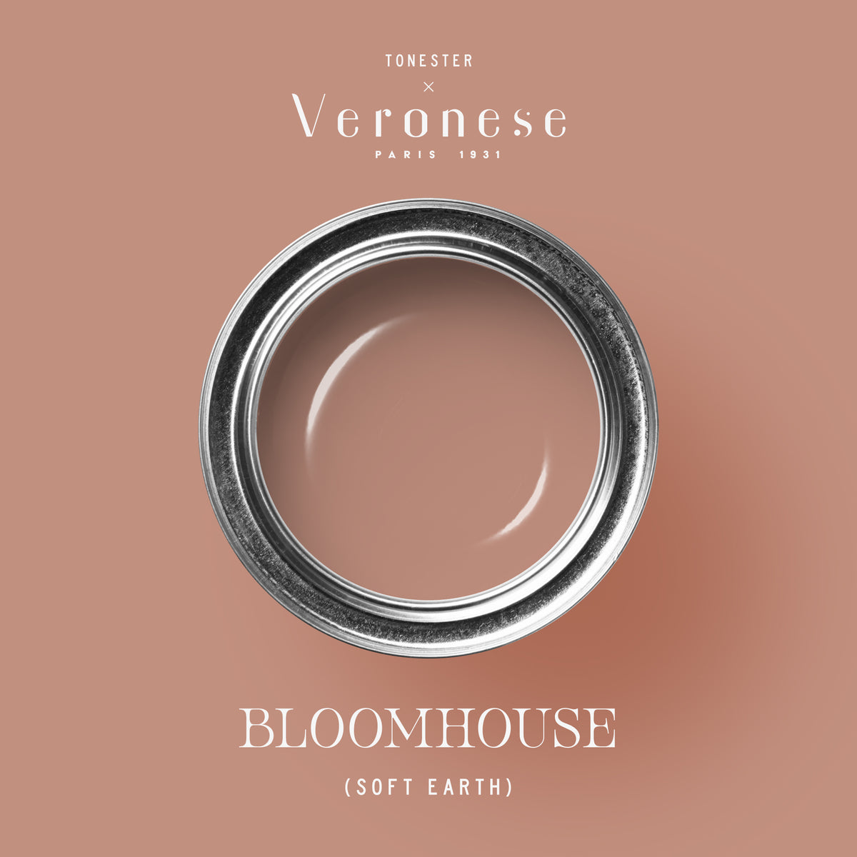 BLOOMHOUSE – tonesterpaints