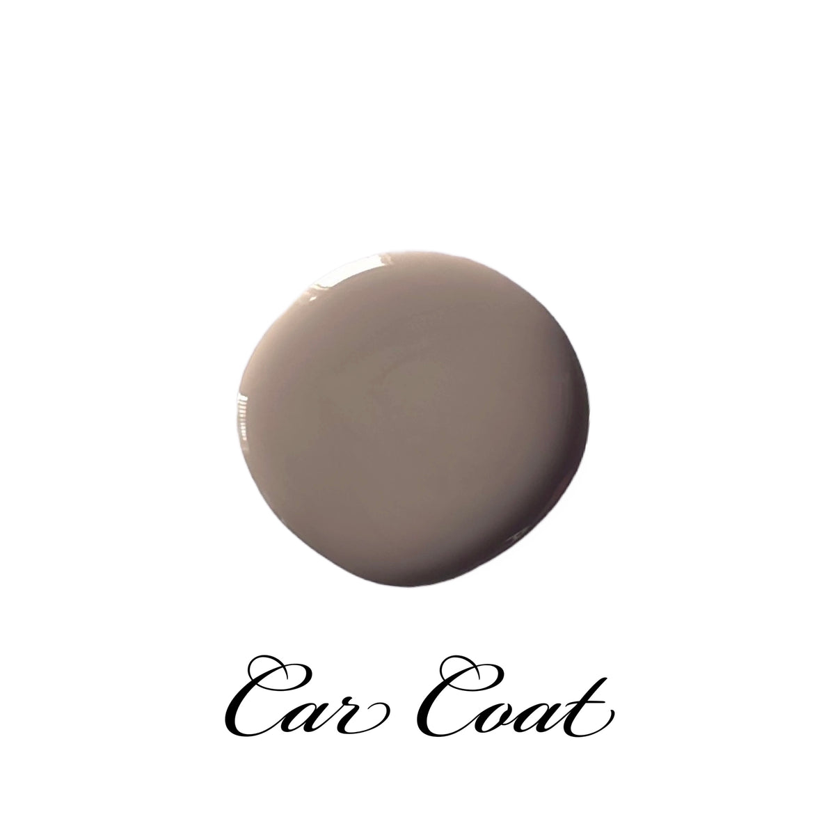 Car Coat – tonesterpaints