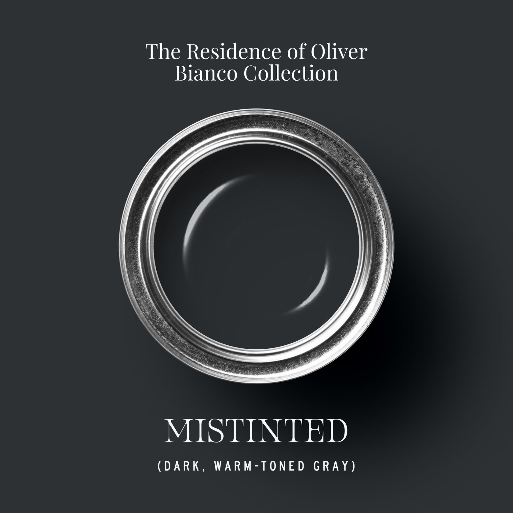 MISTINTED. | dark, warm-toned gray hand-made Tonester paint color ...
